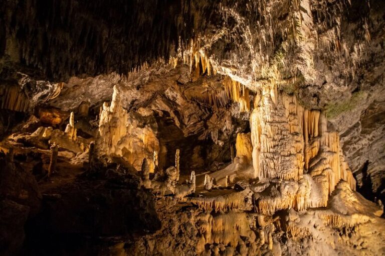 Postojna Cave, Slovenia: What to Know Before You Go | Take the Kids ...